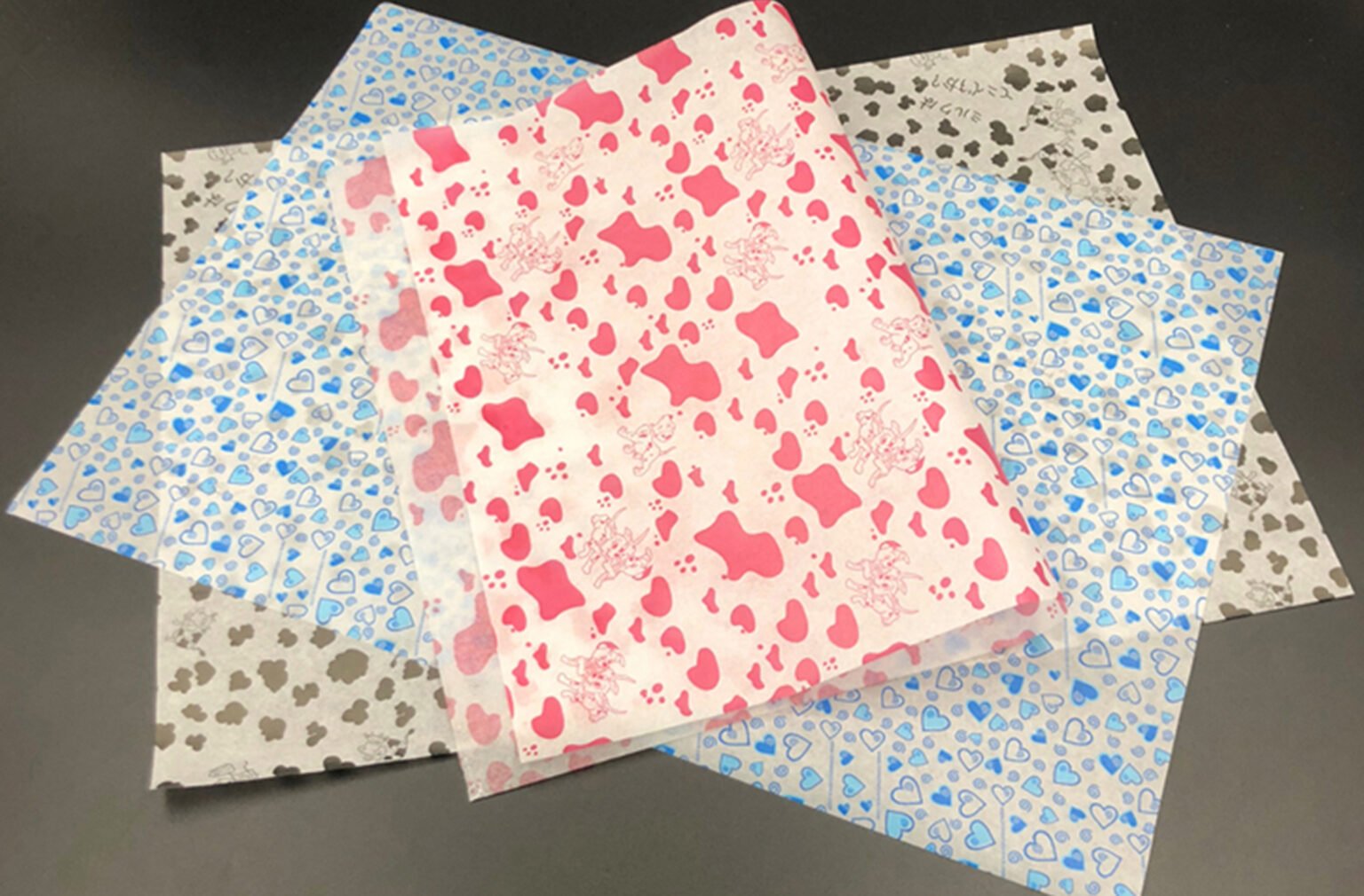 China's biggest Silicone Paper Plant